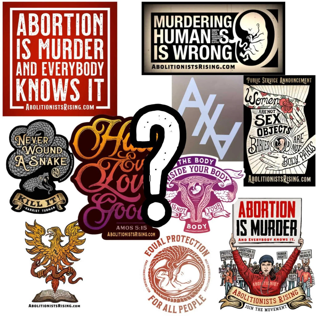 Mystery Sticker Pack | Abolitionists Rising Gear Store