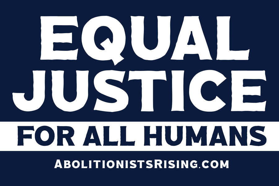 Abolitionists Rising Store